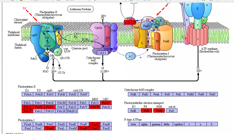 急求转录组问题 分析问题 ，不胜感激！ - 生物科学 - 综合其他 - 小木虫论坛-学术科研互动平台