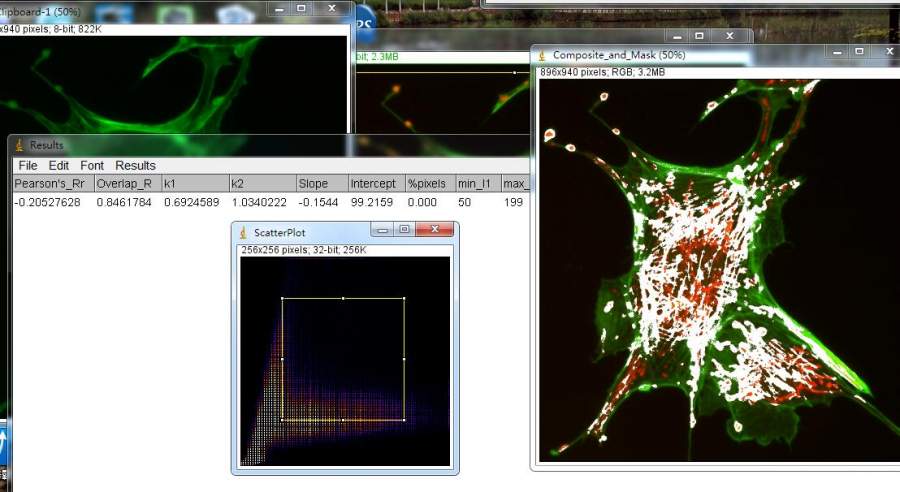 怎样用 ImageJ软件分析荧光共定位，做出彩色散点图呢？ - 分子生物 - 小木虫 - 学术 科研 互动社区